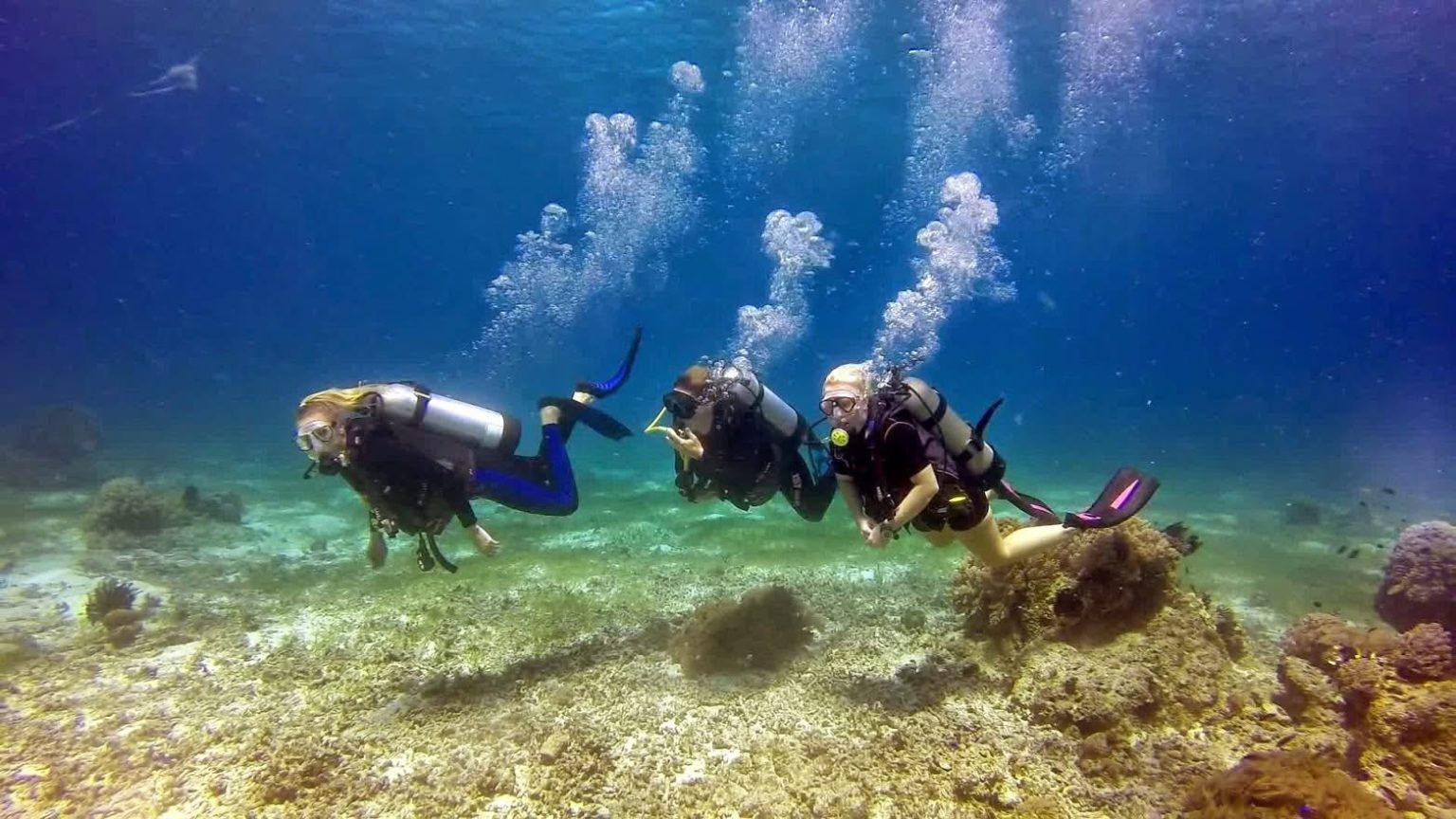 Secret Explorers Dive Center | PADI Wreck Diving Coron Palawan